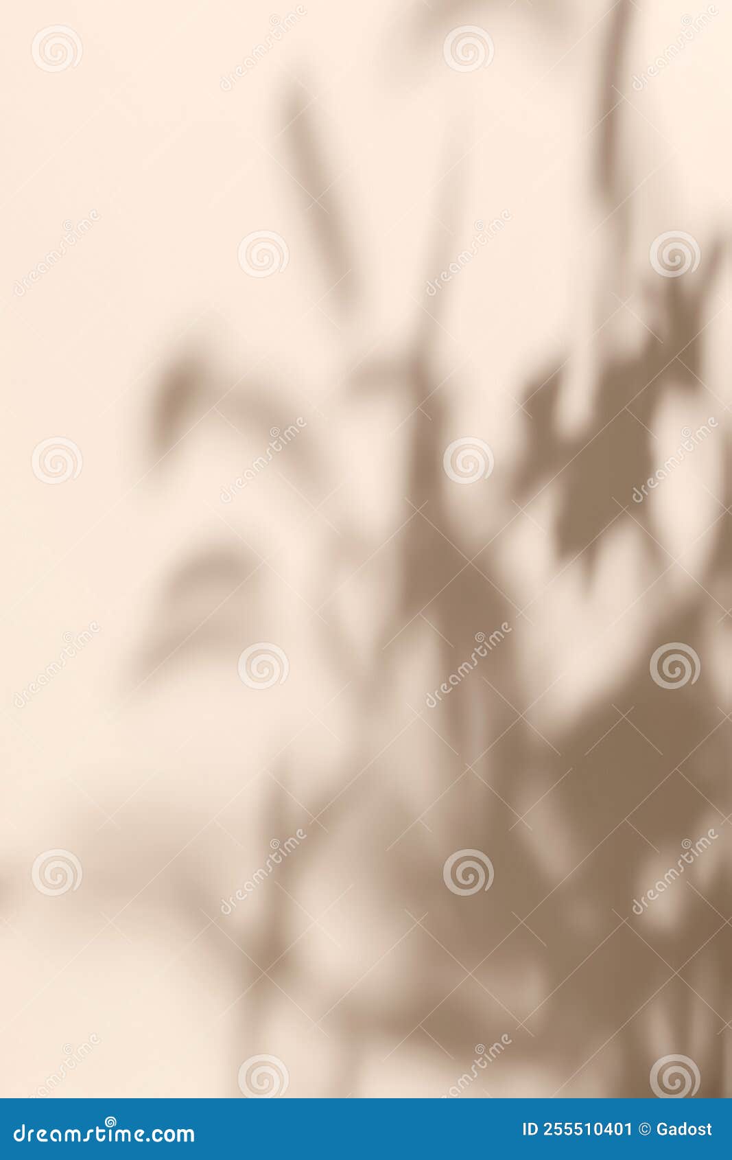 Shadow of Plants on Solid Beige Wall Texture Background Stock Image ...