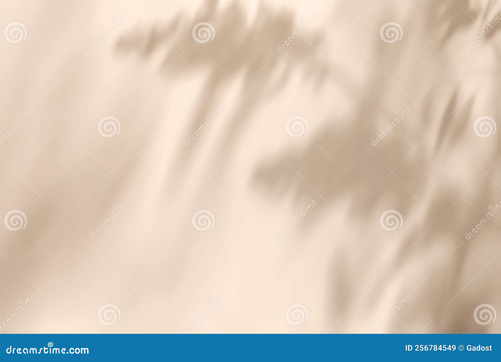 Shadow of Delicate Grass Leaves on Solid Beige Wall Texture Background ...