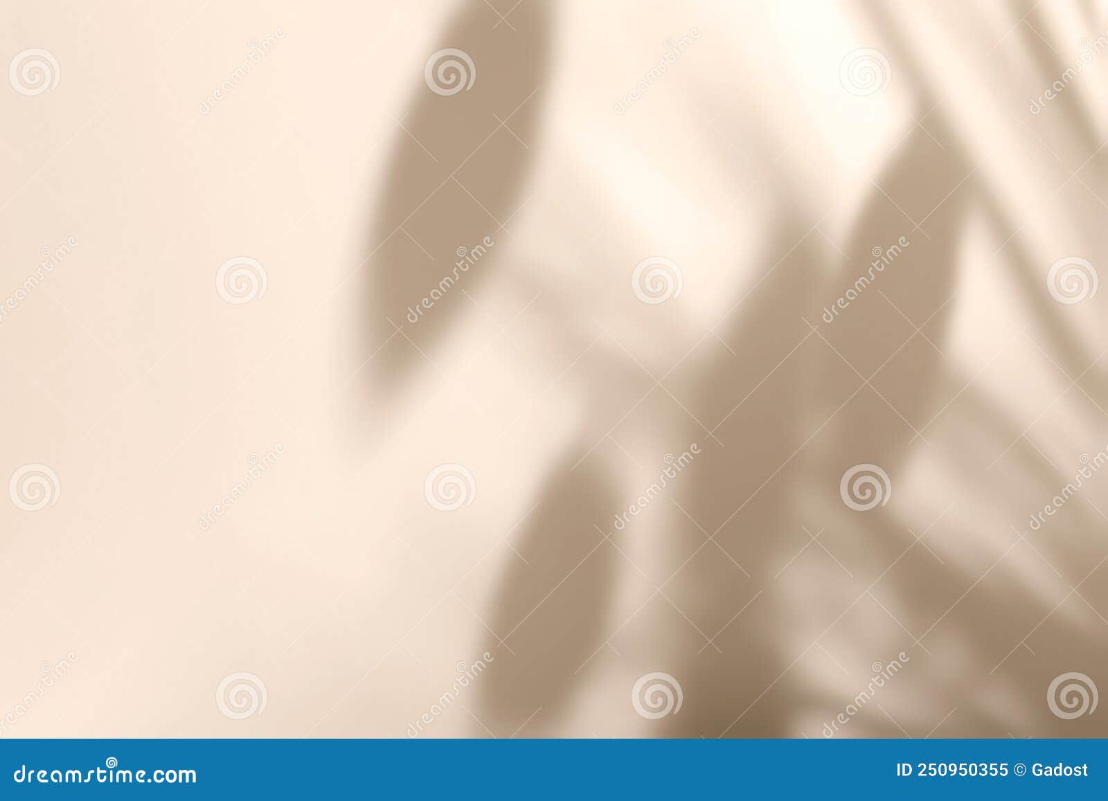 Shadow of Leaves on Solid Beige Wall Texture Background Stock Image ...