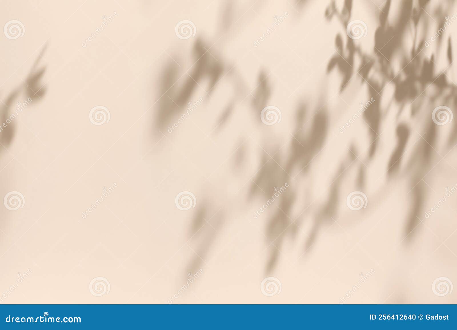 Shadow of Leaves on Solid Beige Wall Texture Background Stock Photo ...