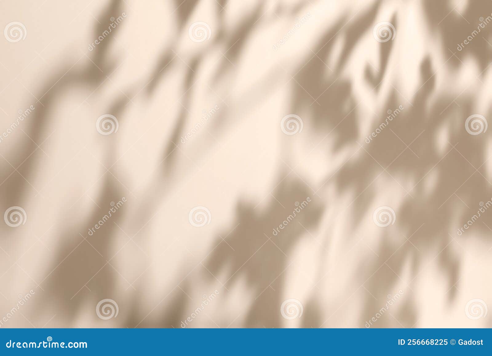 Shadow of Leaves on Solid Beige Wall Texture Background Stock Image ...