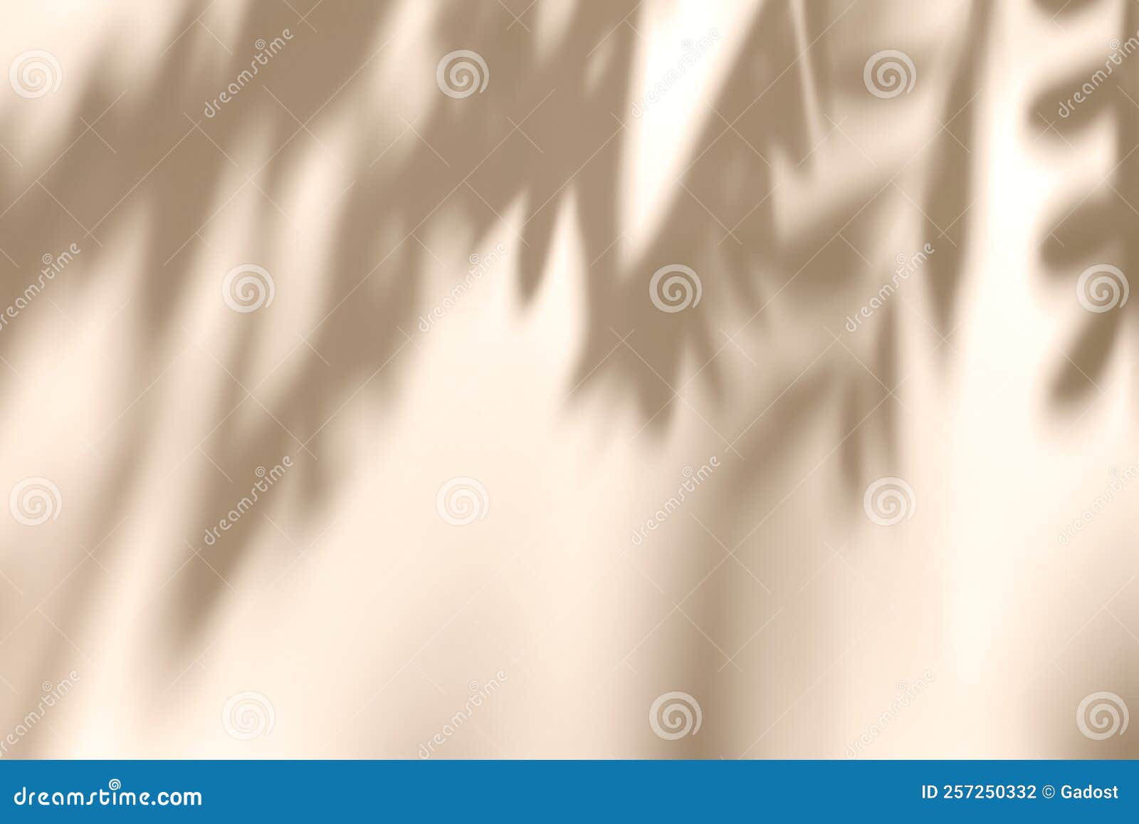 Shadow of Leaves on Solid Beige Wall Texture Background Stock Photo ...