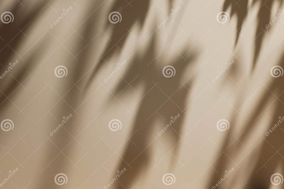 Shadow of Leaves on Solid Beige Wall Texture Background Stock Image ...