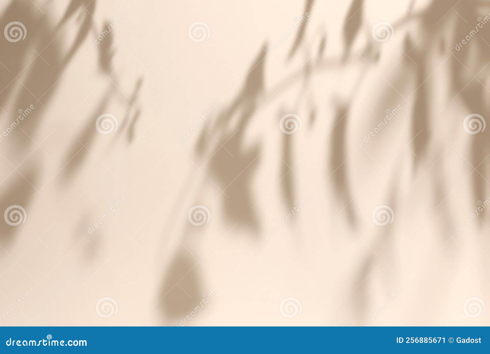 Shadow of Leaves on Solid Beige Wall Texture Background Stock Image ...