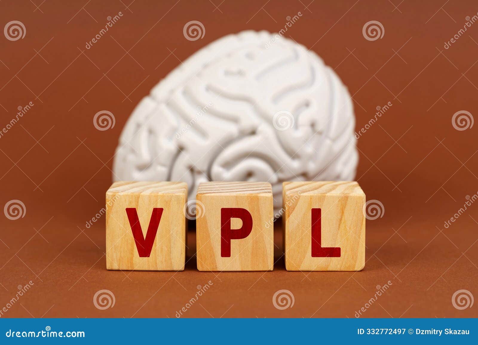 Creative Representation of the Ventral Posterolateral Nucleus with ...
