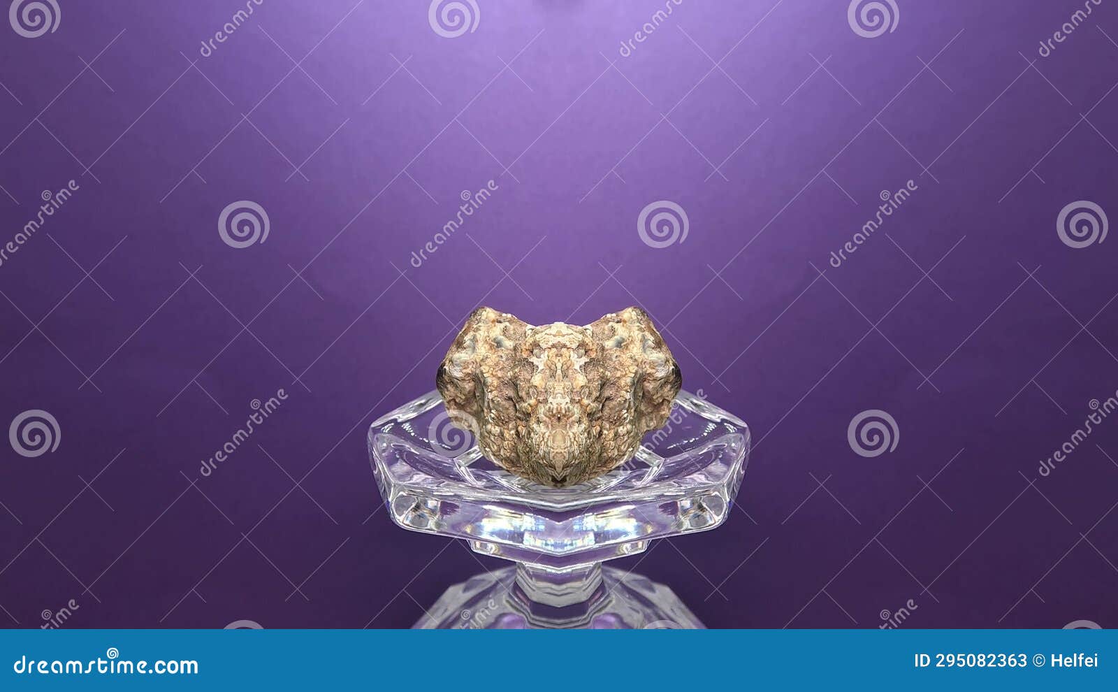 Abstract, Distorted and Magical Movements of a Mirror Image As an ...