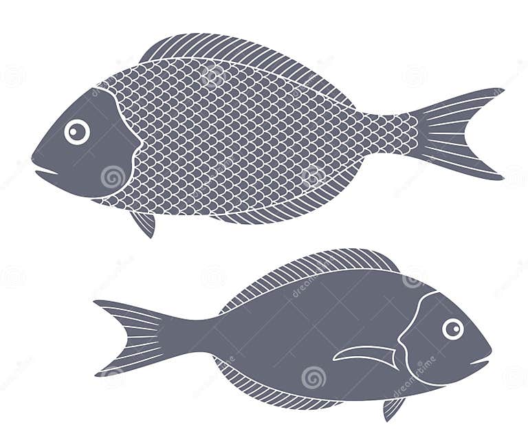 Abstract Dorado Fish stock vector. Illustration of vector - 77079172