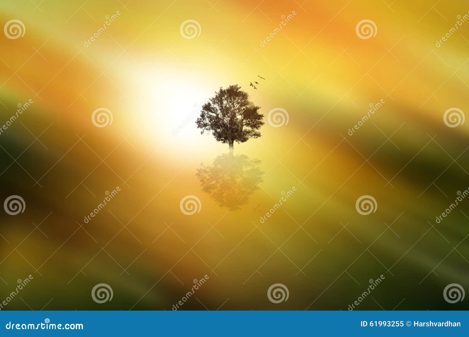 Abstract Dreamy Tree and Birds Flying Over it Stock Illustration ...