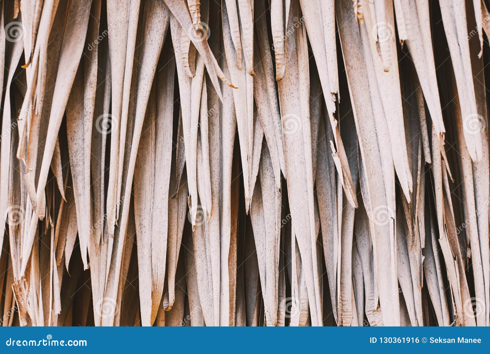 Abstract Dried Leaves of Tree Background. Stock Photo - Image of leaf ...