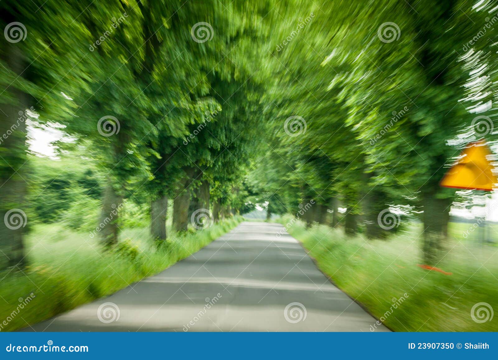 Abstract Driving on Forest Road Stock Photo - Image of road, putting ...