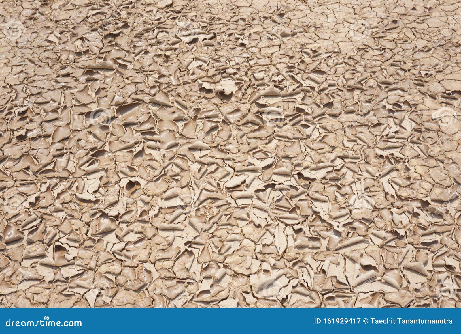 Dry soil texture stock image. Image of rough, cultivated - 161929417