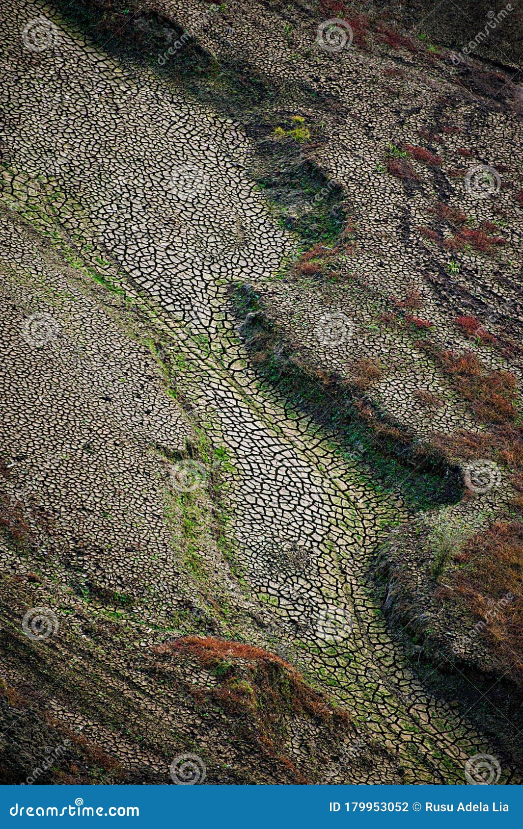 Abstract dry soil textures stock photo. Image of background - 179953052