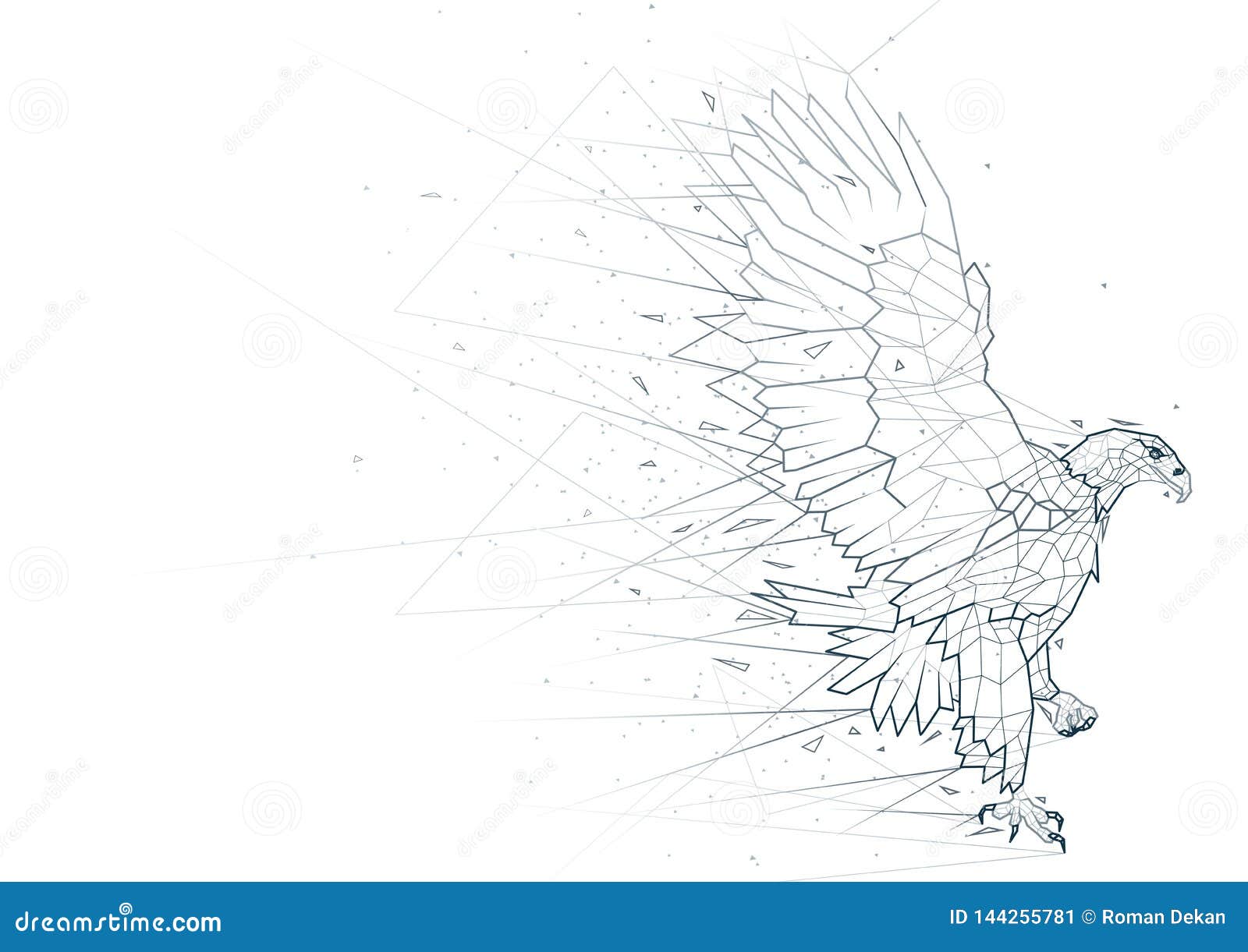 Abstract Eagle Low Poly Wireframe Cartoon Vector | CartoonDealer.com ...
