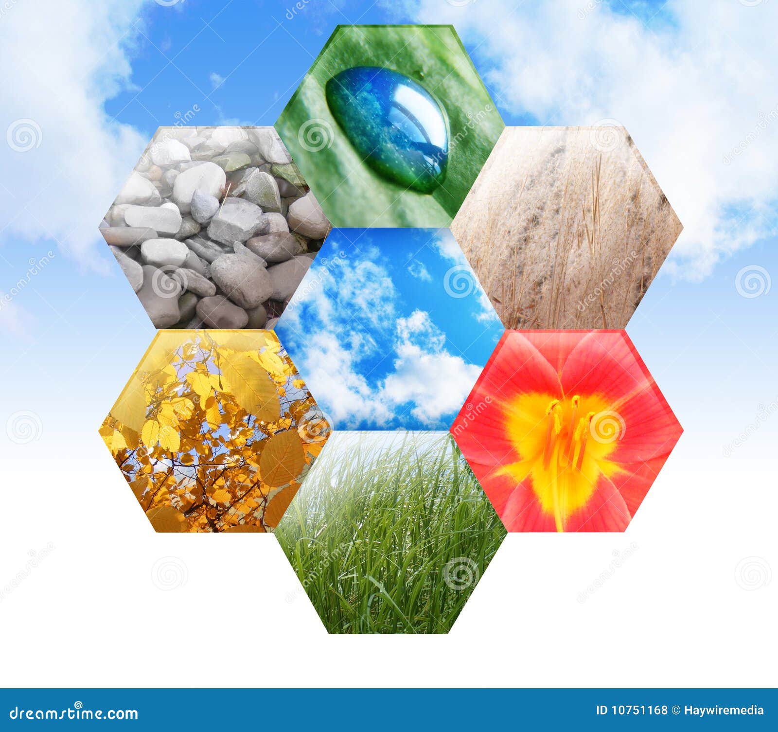 Abstract Eco Green Nature Hexagon Symbol Stock Illustration ...