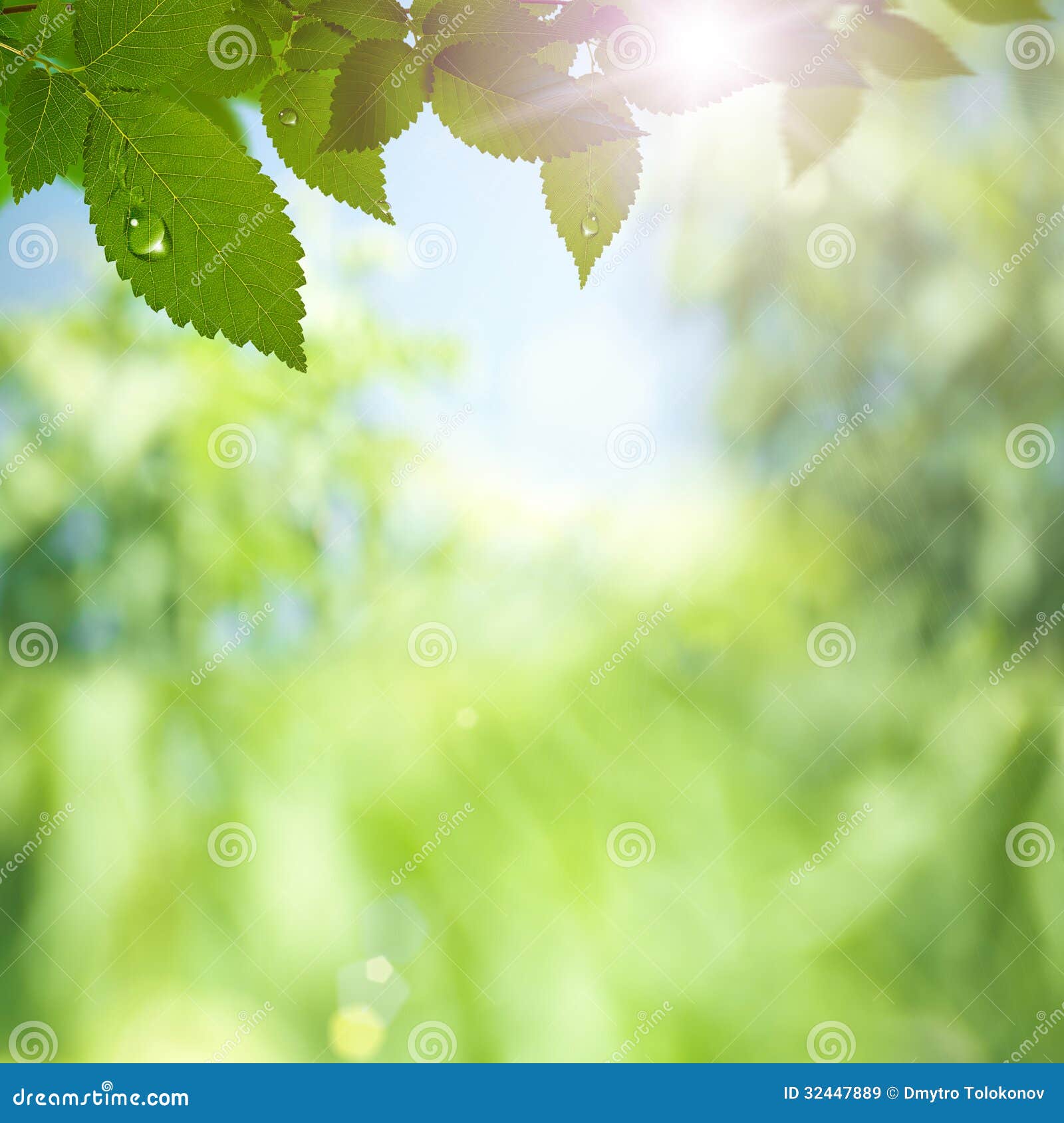 Abstract Environmental Backgrounds Stock Image - Image of organic ...