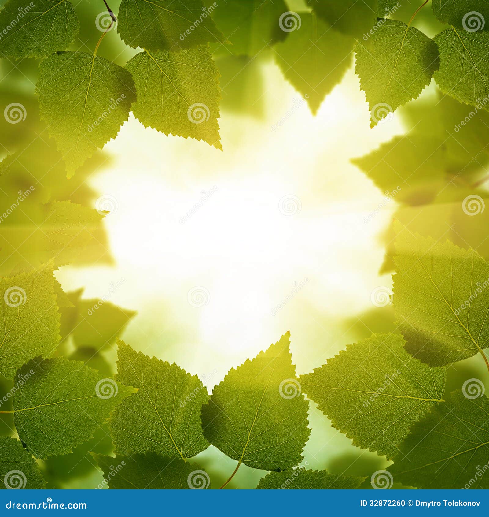 Abstract Environmental Backgrounds Stock Photo - Image of life, leaf ...
