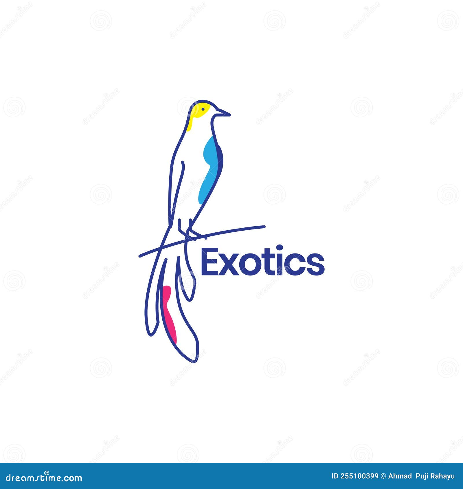 Abstract Exotic Bird Long Tail Logo Design Stock Vector - Illustration ...