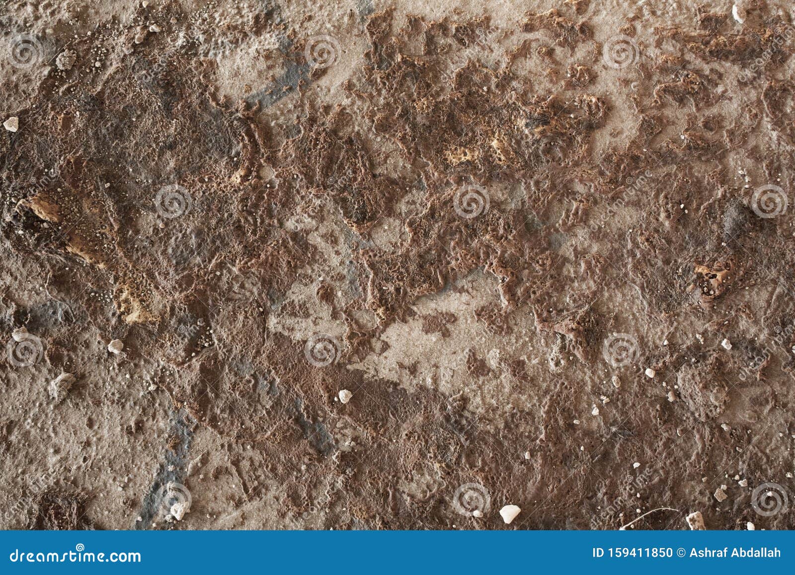 Abstract Extreme Textures Surface Background Closeup Stock Photo ...