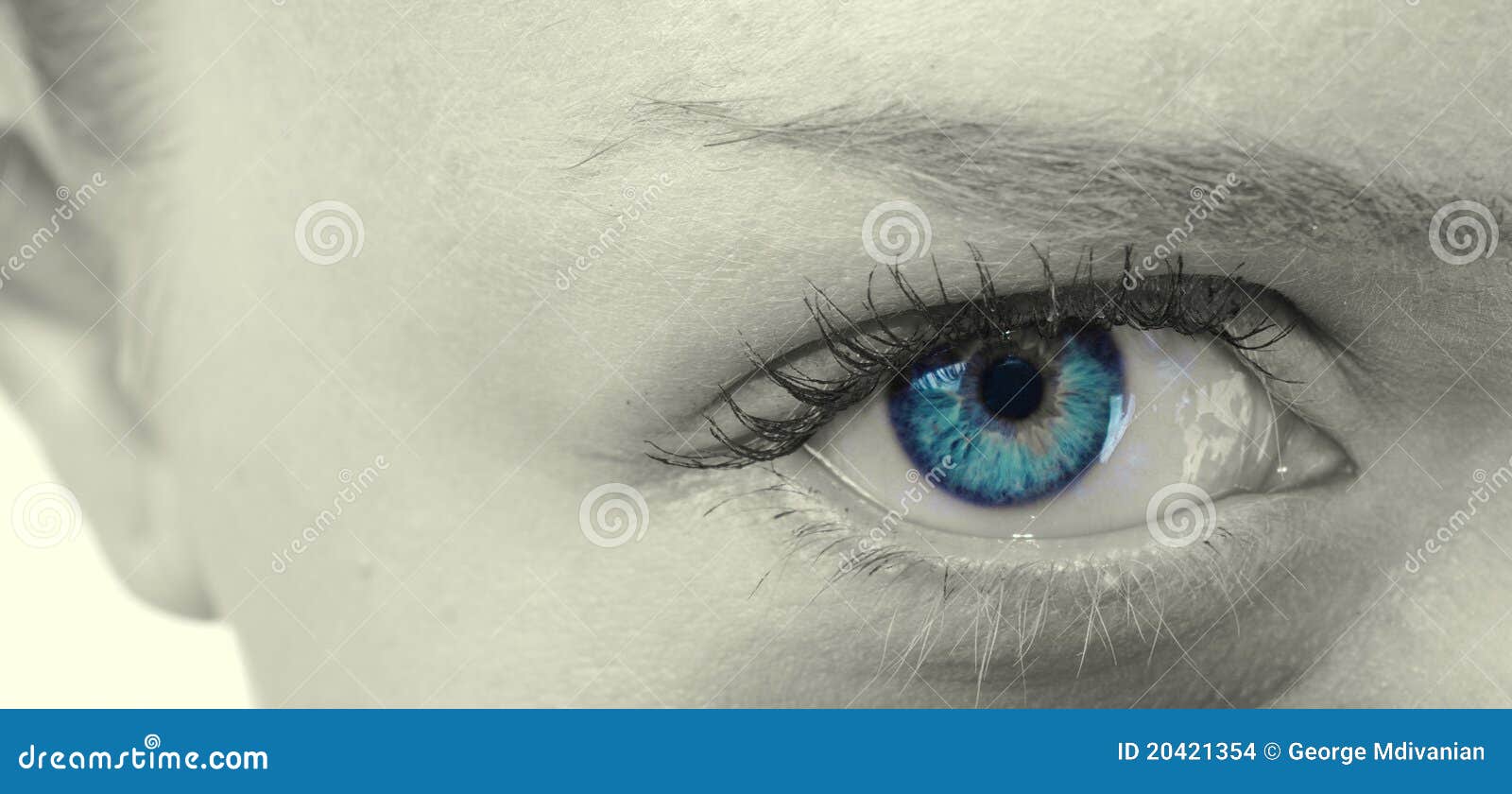 Abstract eye stock photo. Image of beautiful, vision - 20421354