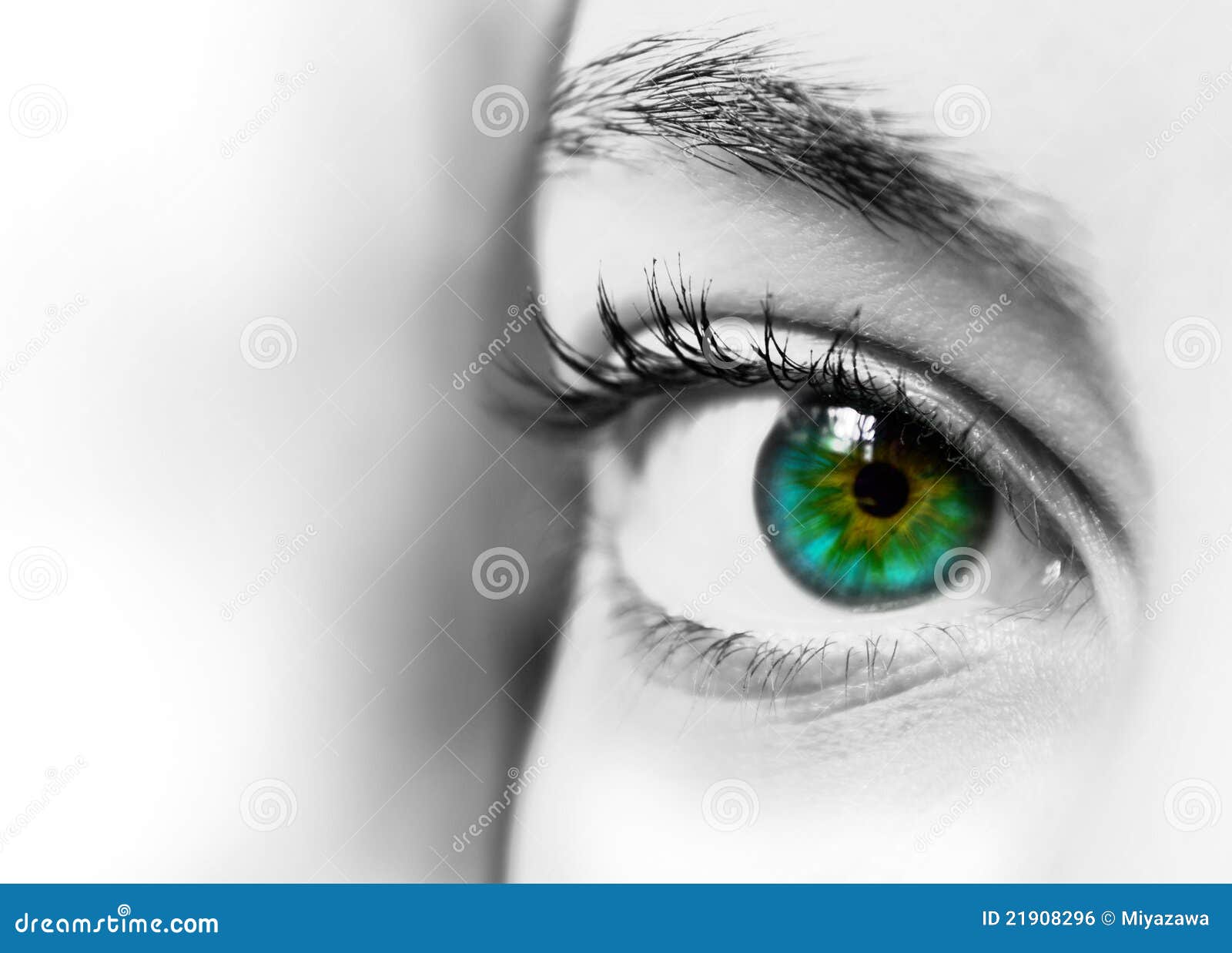 Abstract eye stock photo. Image of concept, health, face - 21908296