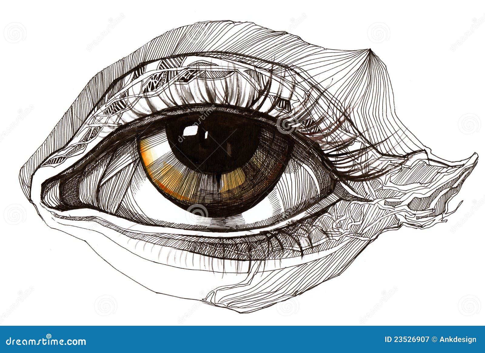 Abstract eye stock illustration. Illustration of bright - 23526907