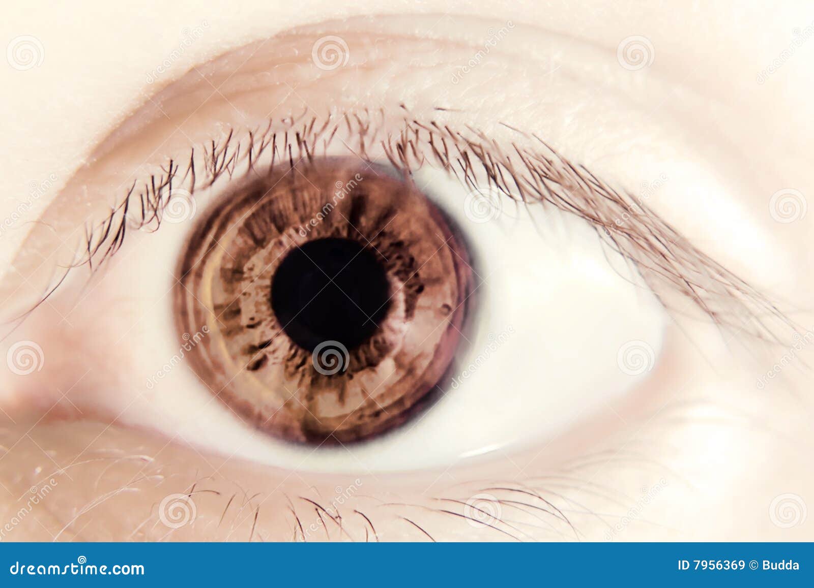 Abstract eye stock image. Image of close, face, reflection - 7956369