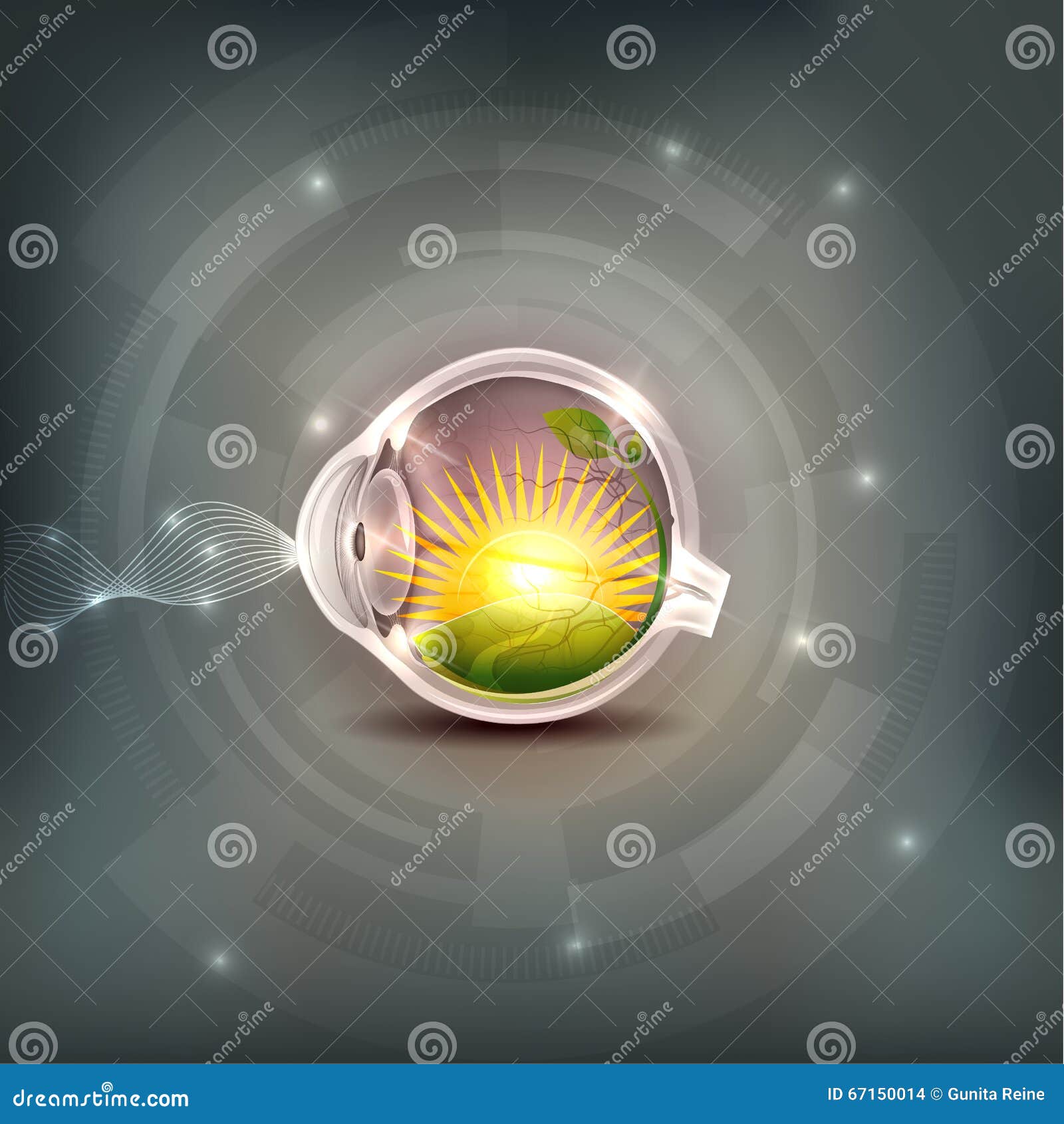 Abstract eye anatomy stock vector. Illustration of ball - 67150014