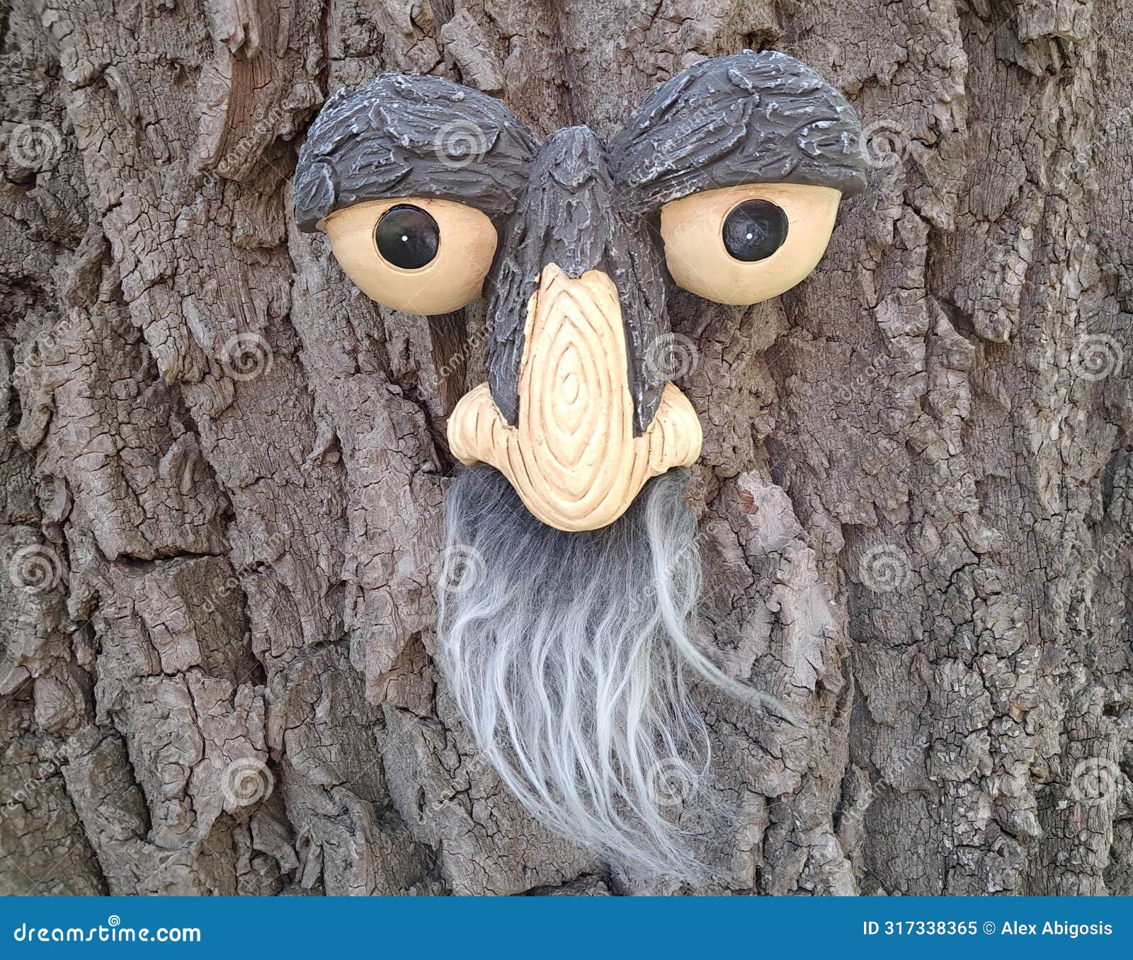 Abstract Face on a Tree Trunk Stock Image - Image of person, face ...