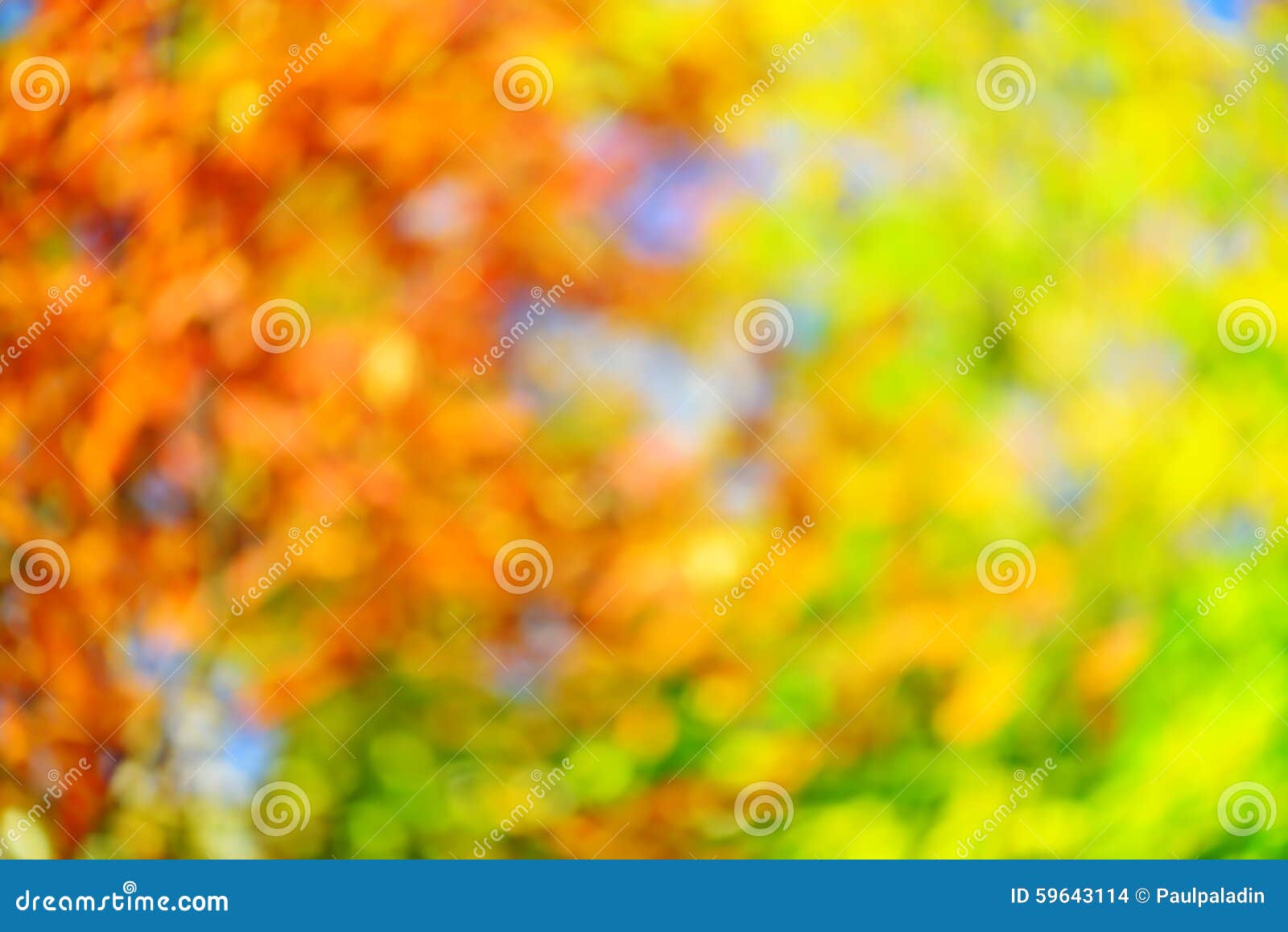 Abstract fall background stock photo. Image of page, colorful - 59643114