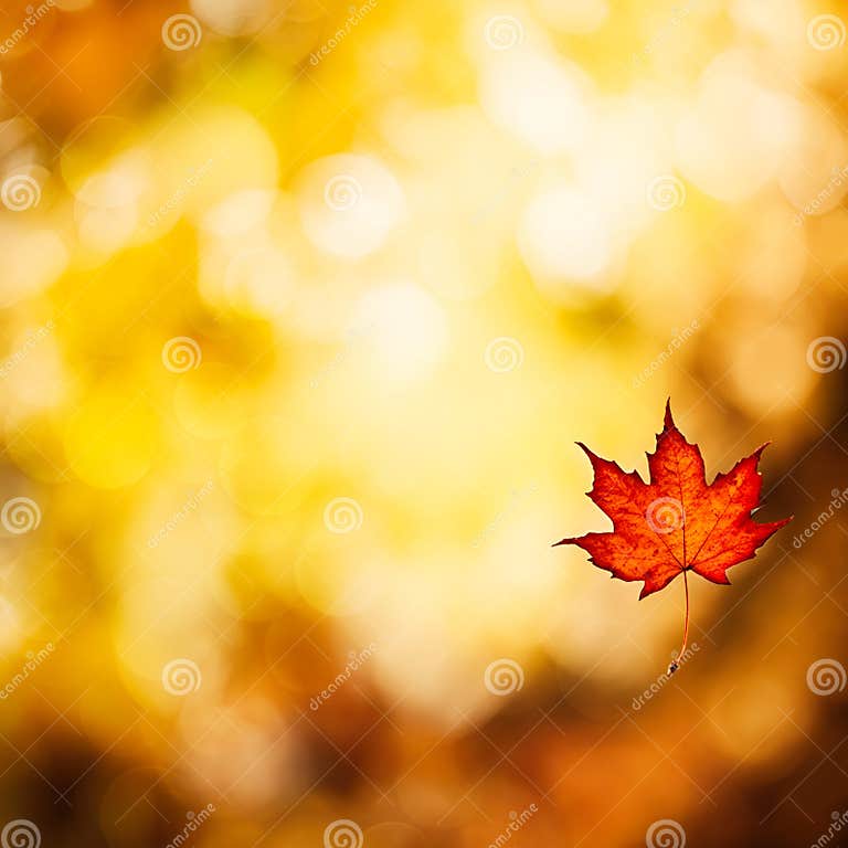Abstract Fall Background with Maple Leaf, Seasonal Wallpapers Stock ...