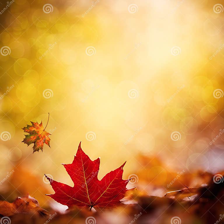 Abstract Fall Background with Maple Leaf Stock Illustration ...