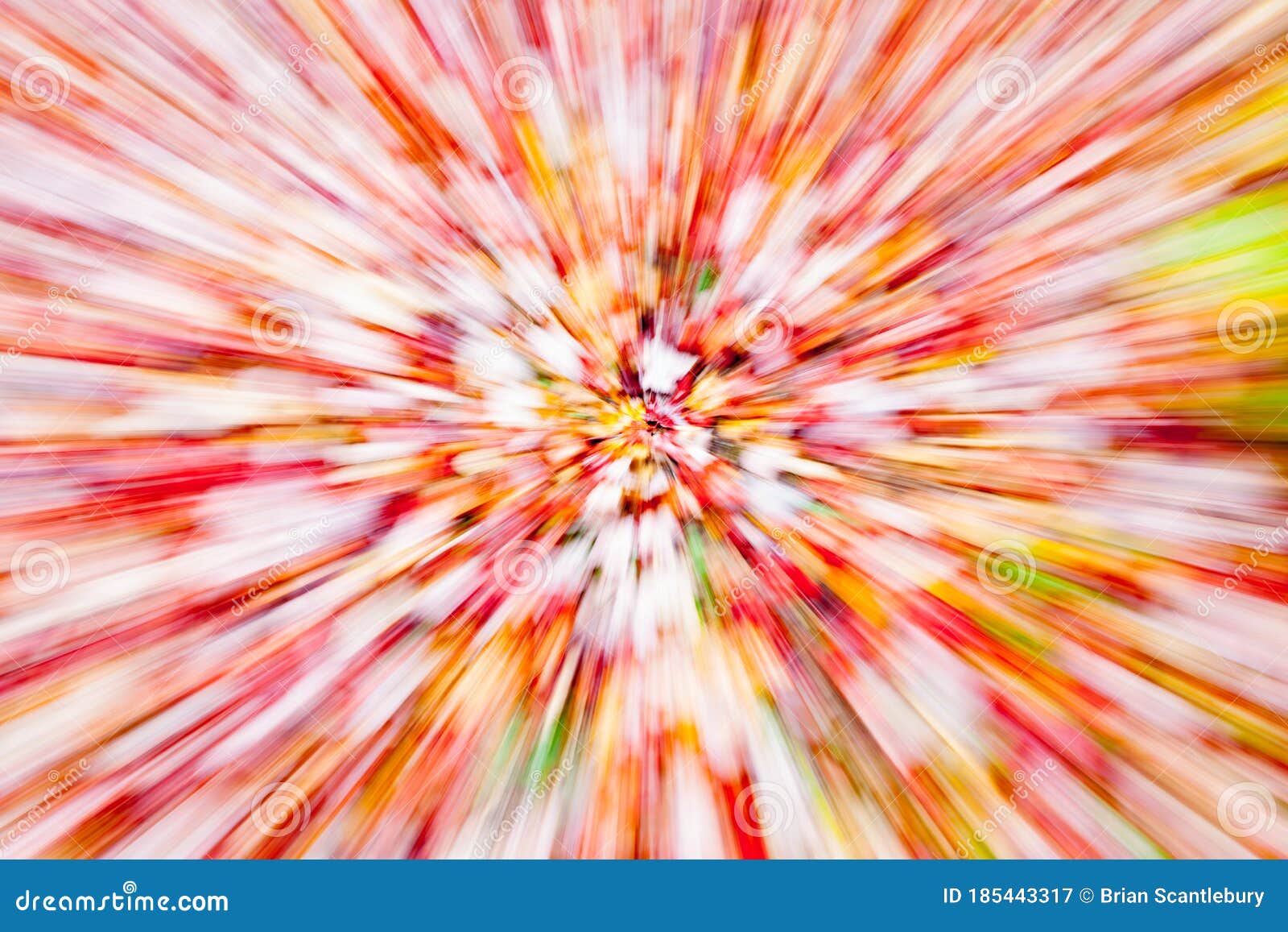 Abstract Fall Colors in Zoom Blur Presenting Bright Converging Pattern ...