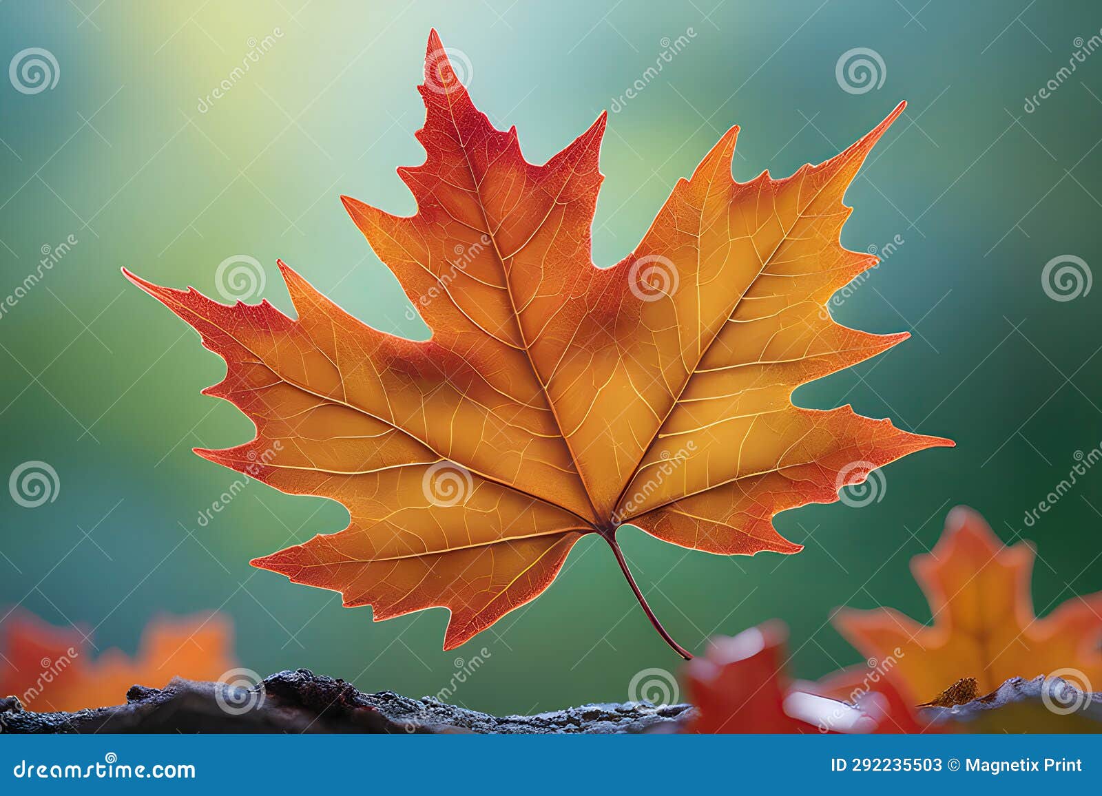 Abstract Fall Leaf, Macro Autumn Leaf Background Stock Illustration ...