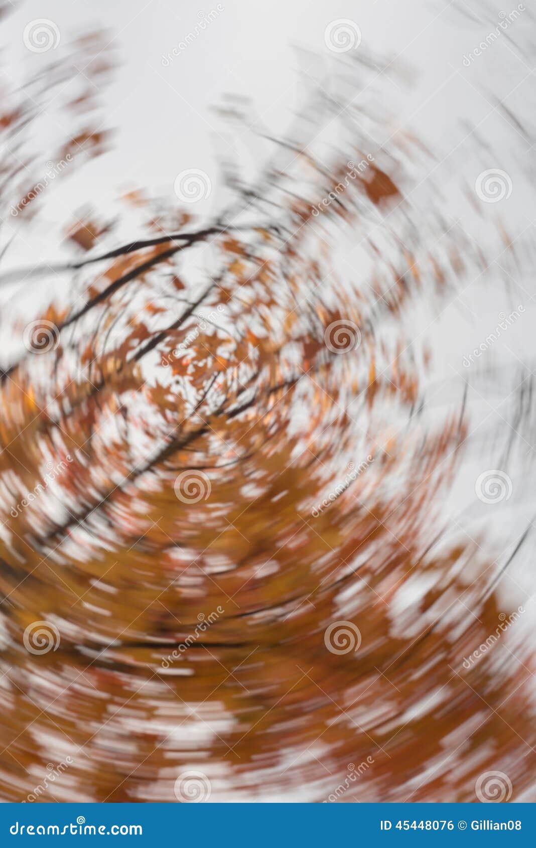 Abstract Fall Leaves Swirled, Blurry Stock Photo - Image of white ...