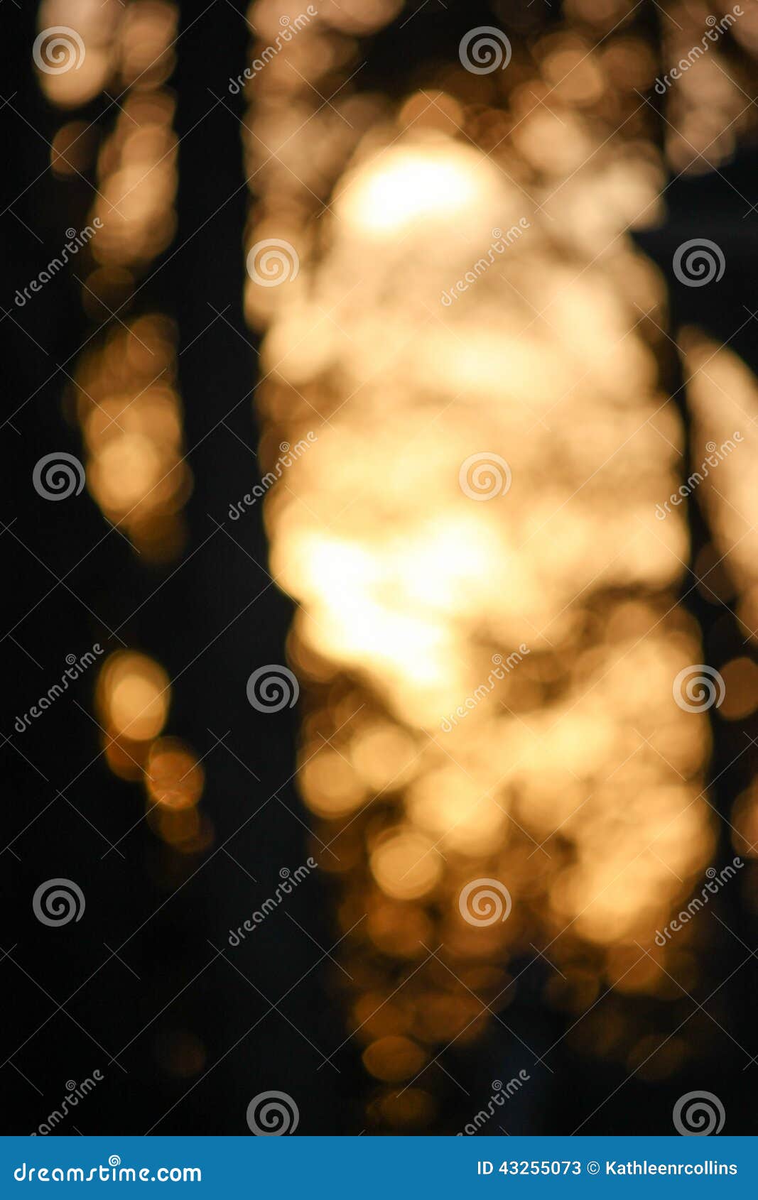 Abstract fall light stock image. Image of tree, branch - 43255073