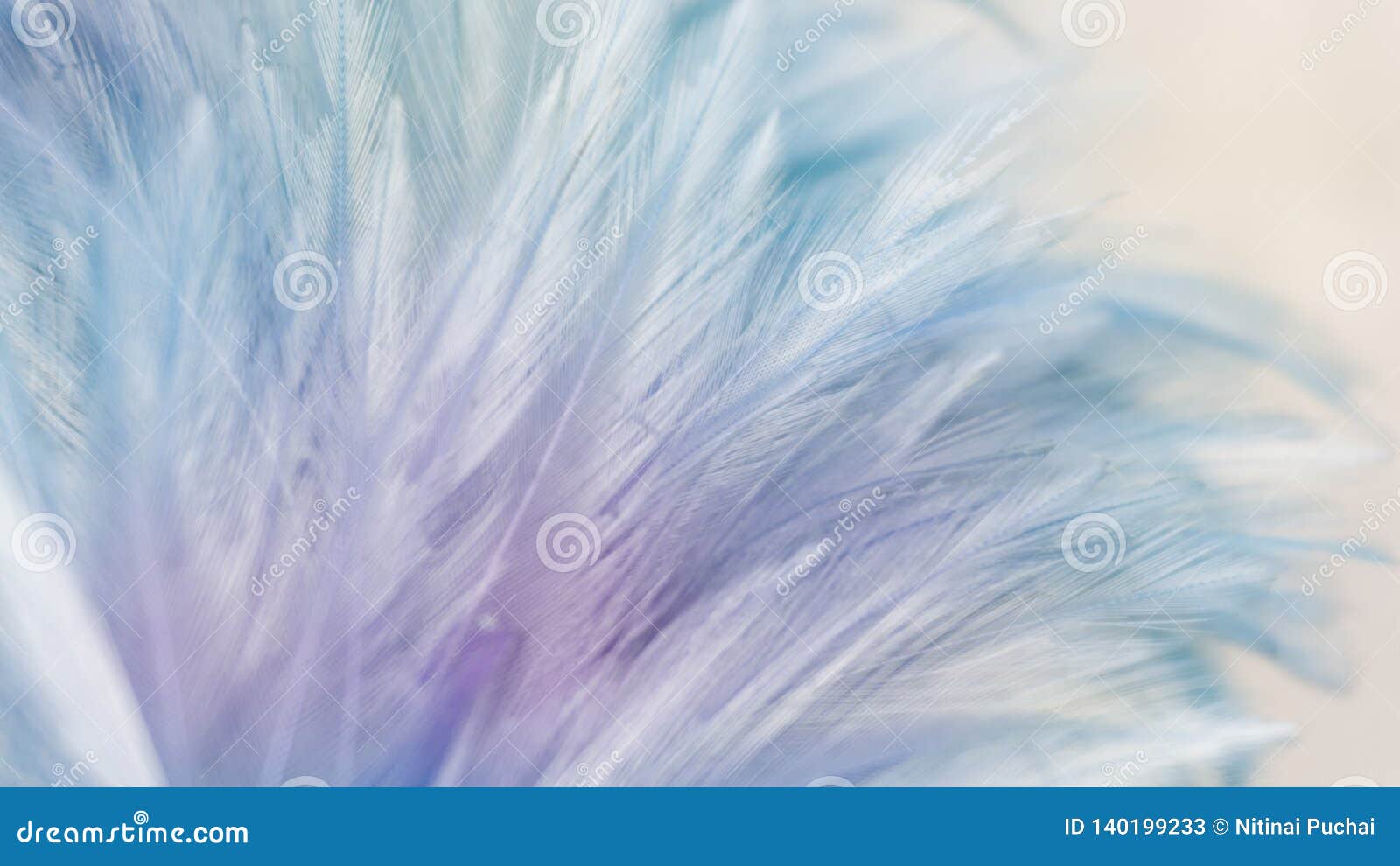 Abstract feather stock image. Image of closeup, fairy - 140199233