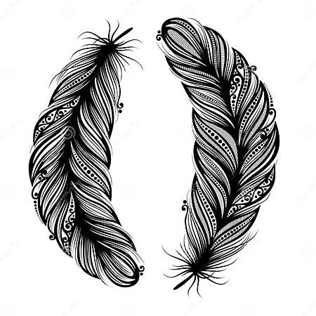 Abstract feather bird stock vector. Illustration of beautiful - 34240652