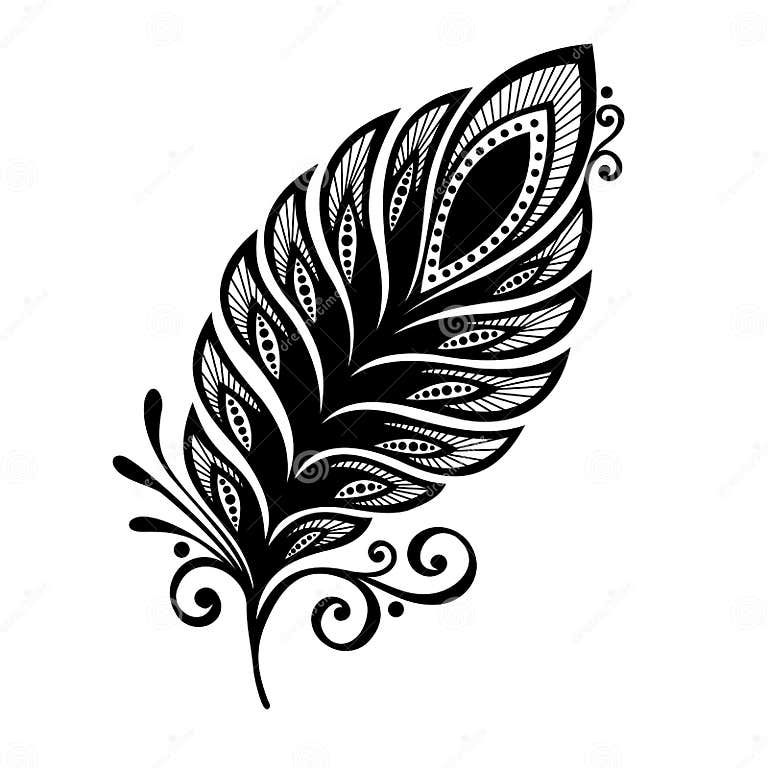 Abstract feather bird stock vector. Illustration of fragility - 34242918