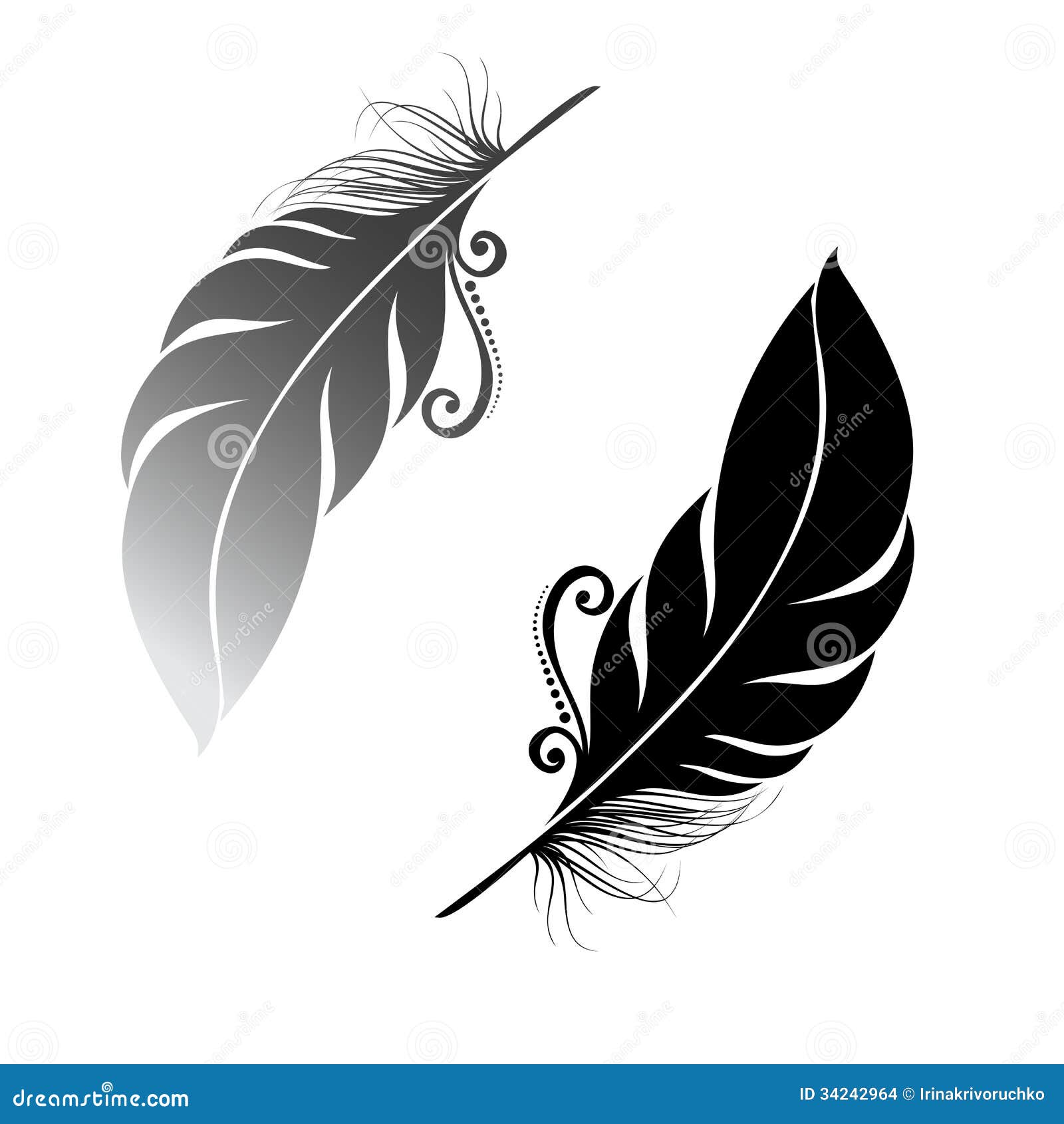 Abstract feather bird stock vector. Illustration of element - 34242964