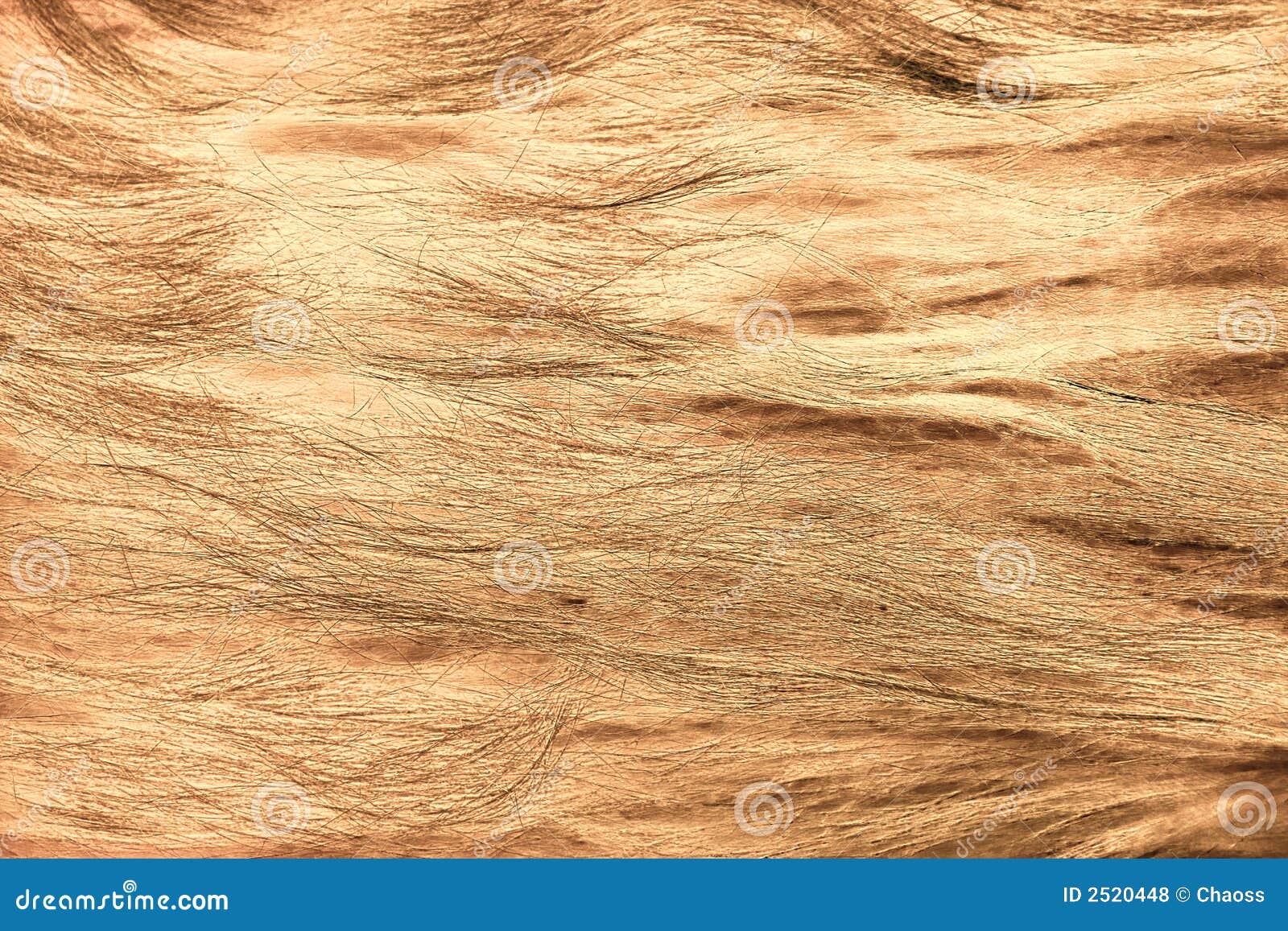 Abstract fibrous texture stock photo. Image of stringy - 2520448