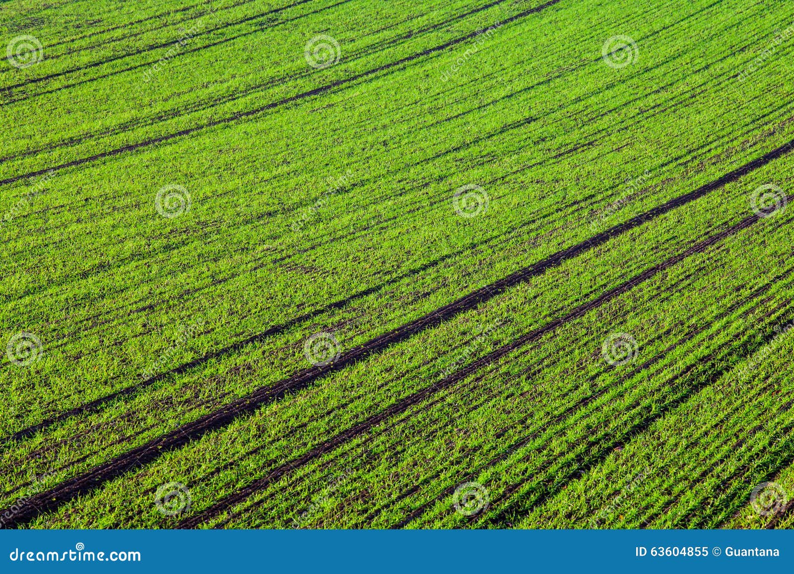 Abstract fields stock image. Image of beautiful, abstract - 63604855