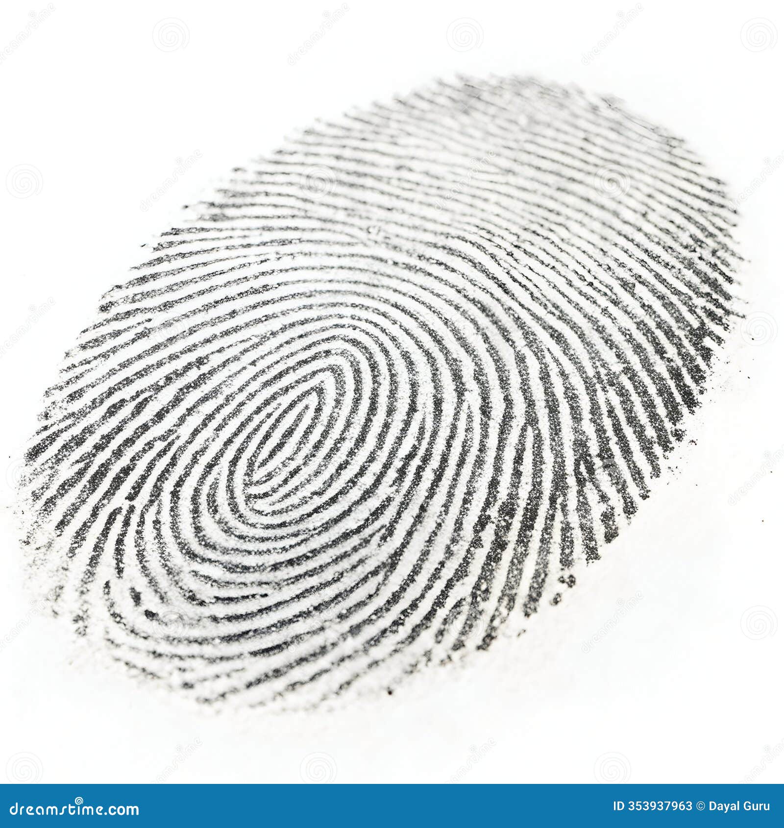 Abstract Fingerprint Texture Isolated on White Background Stock ...