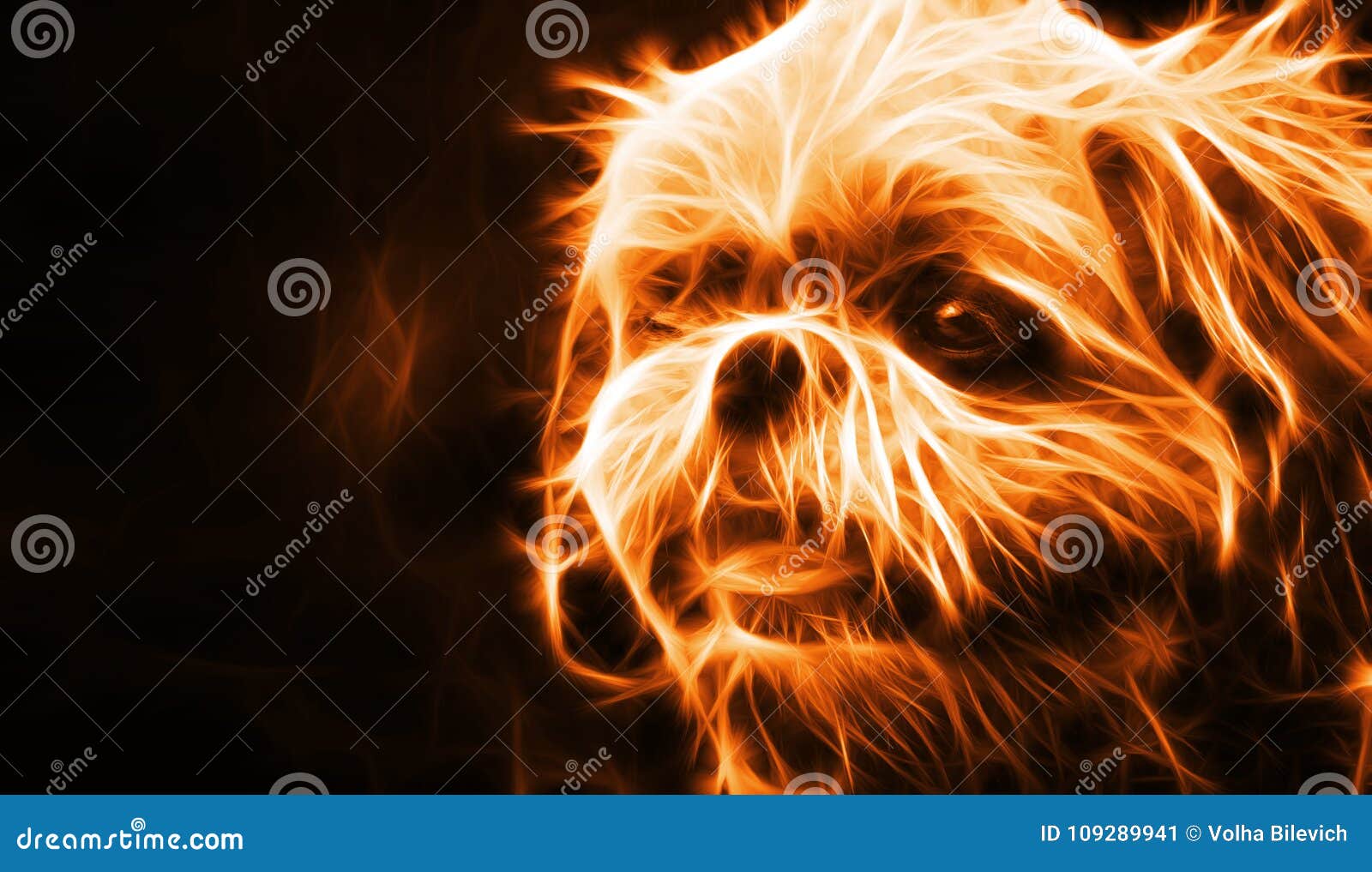 Abstract Fire Dog on Black Background Stock Illustration - Illustration ...