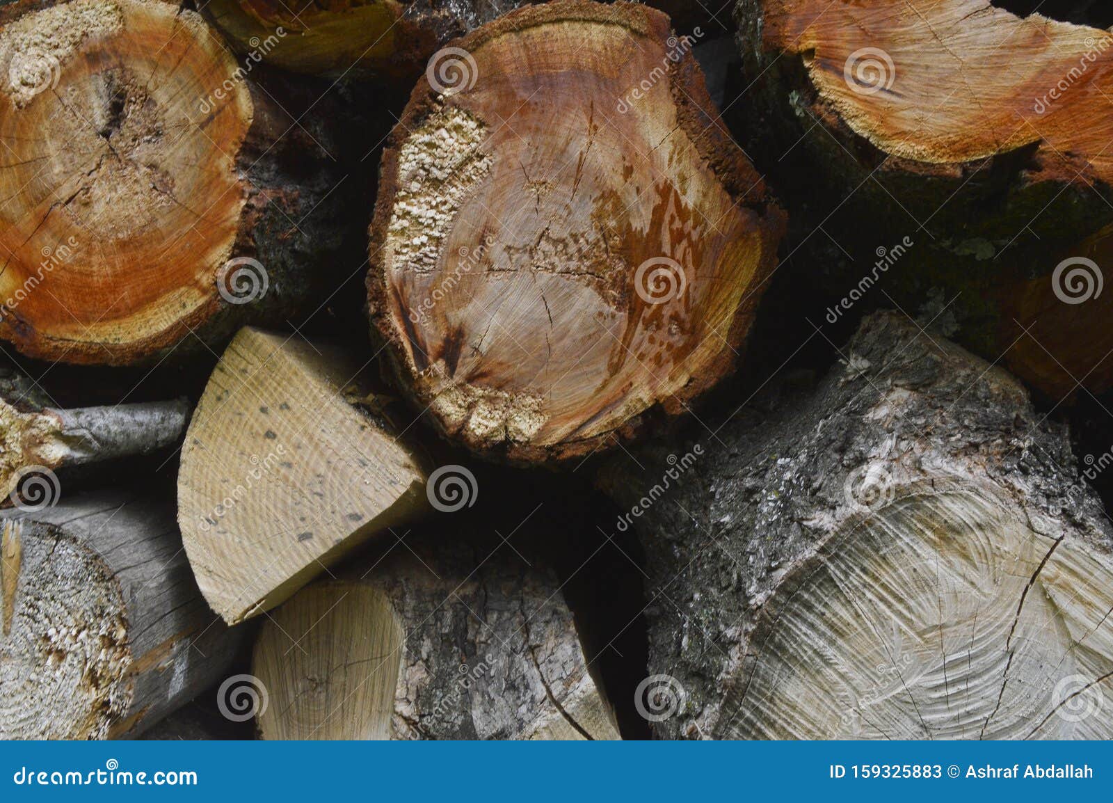 Abstract Fire Wood Textures Surface Background Closeup Stock Image ...