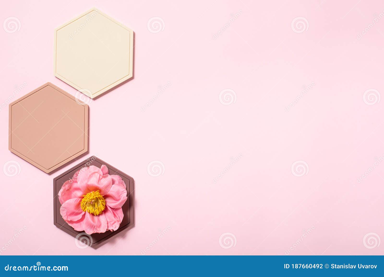 Abstract Flat Lay Background with Pastel Honeycomb Stock Photo - Image ...