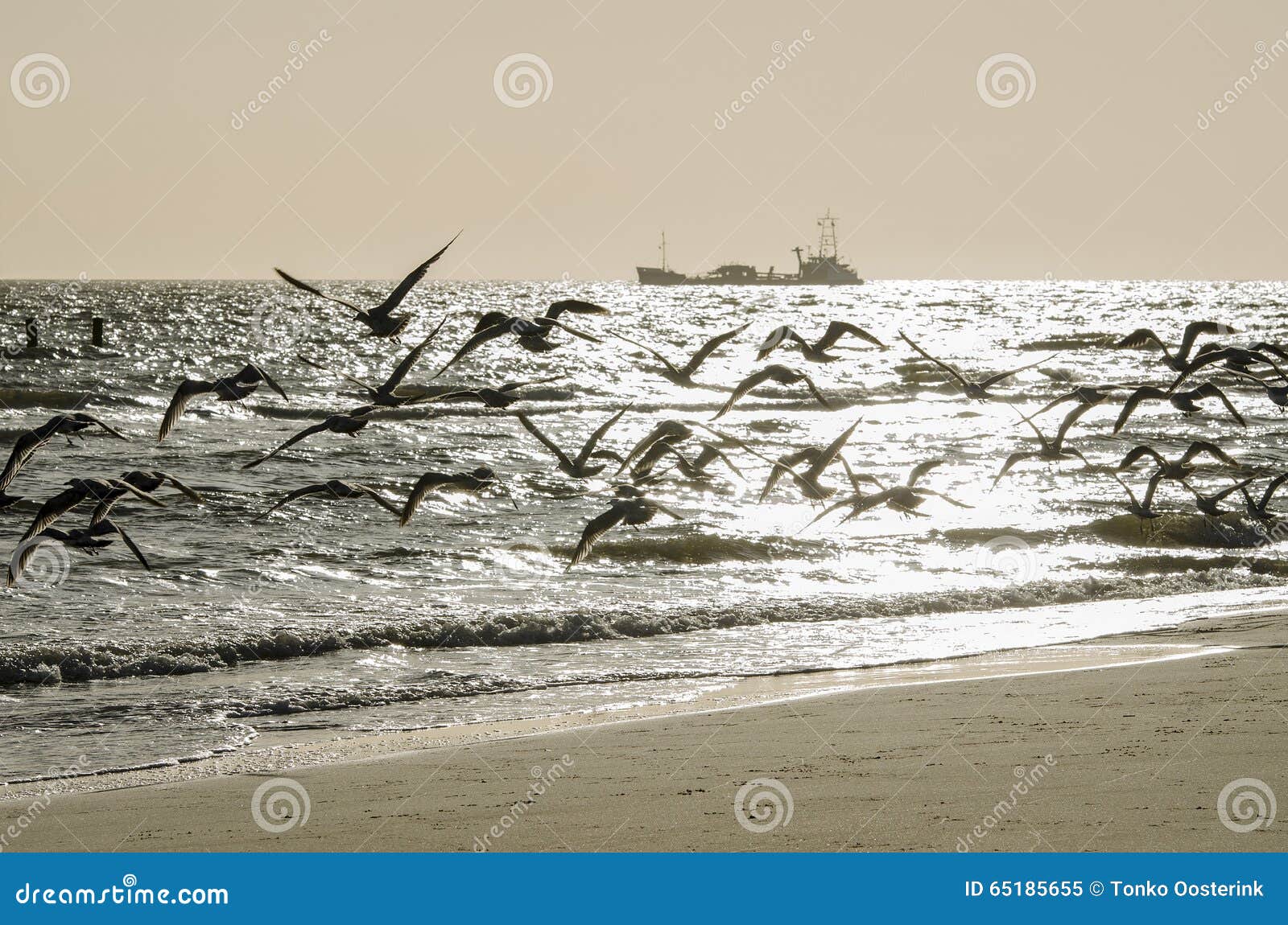 Abstract Flock of Birds Above a Beach Stock Image - Image of vessel ...