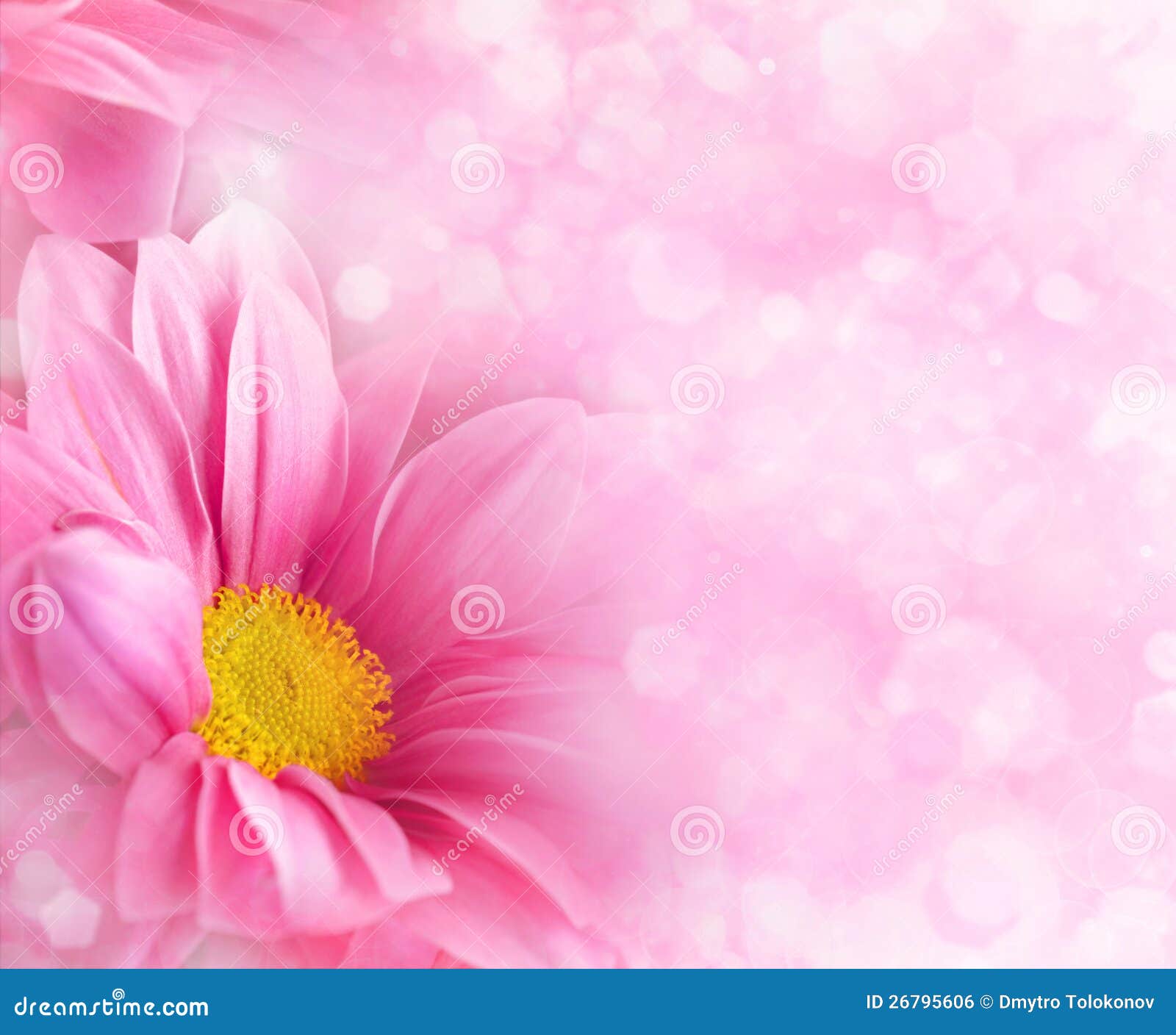 Abstract Floral Backgrounds Stock Photo - Image of garden, background ...
