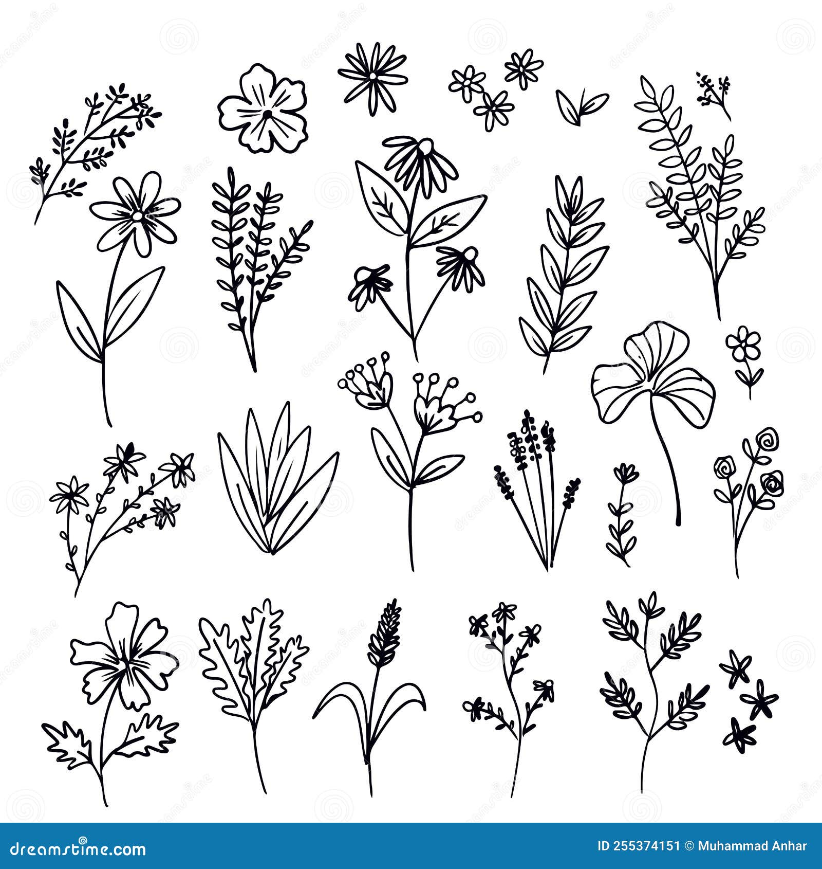 Outline Floral Doodle Collection Stock Vector - Illustration of pattern ...