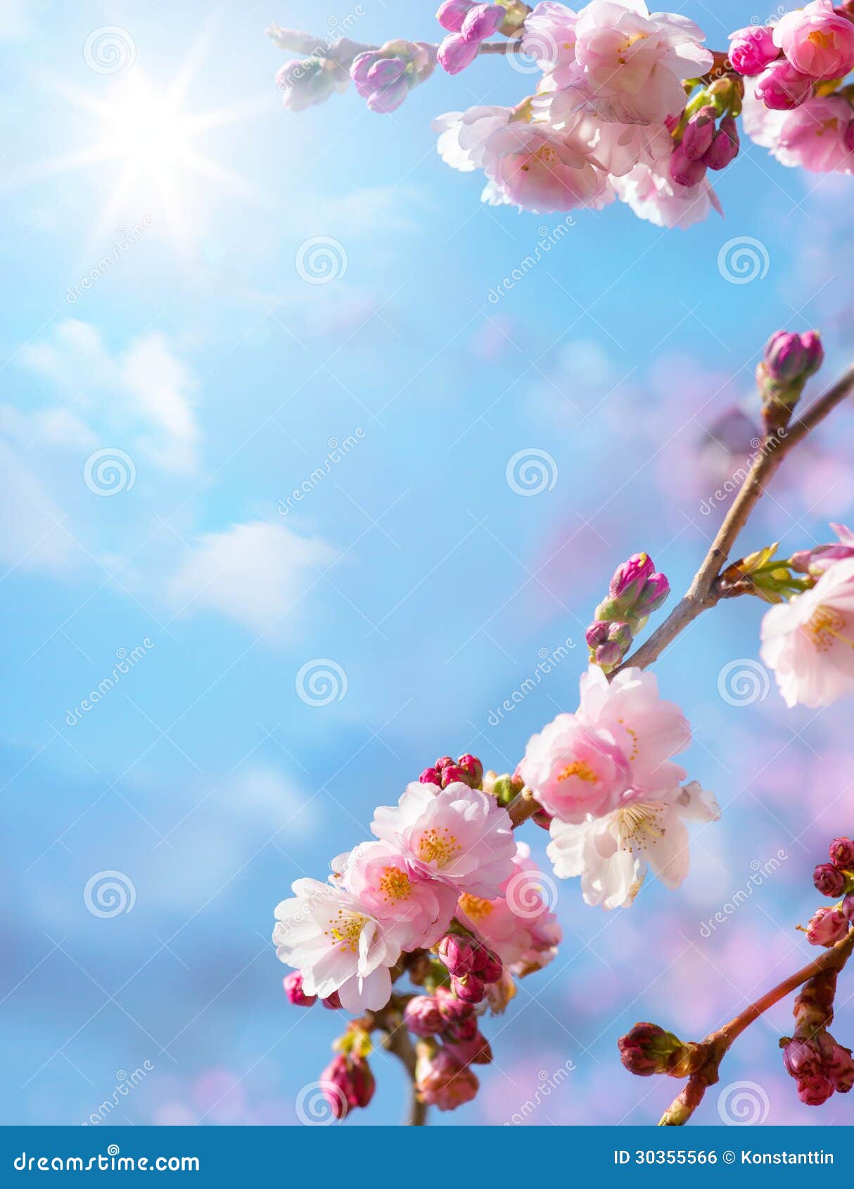 Abstract Floral Spring Background Stock Photo - Image of flower ...