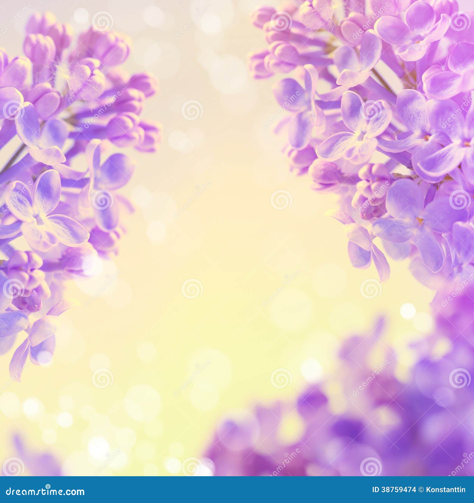 Abstract Floral Spring Background Flowers Lilac Stock Photo - Image of ...